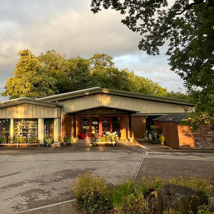 Farm Shop Café | Tortworth Estate Farm Shop